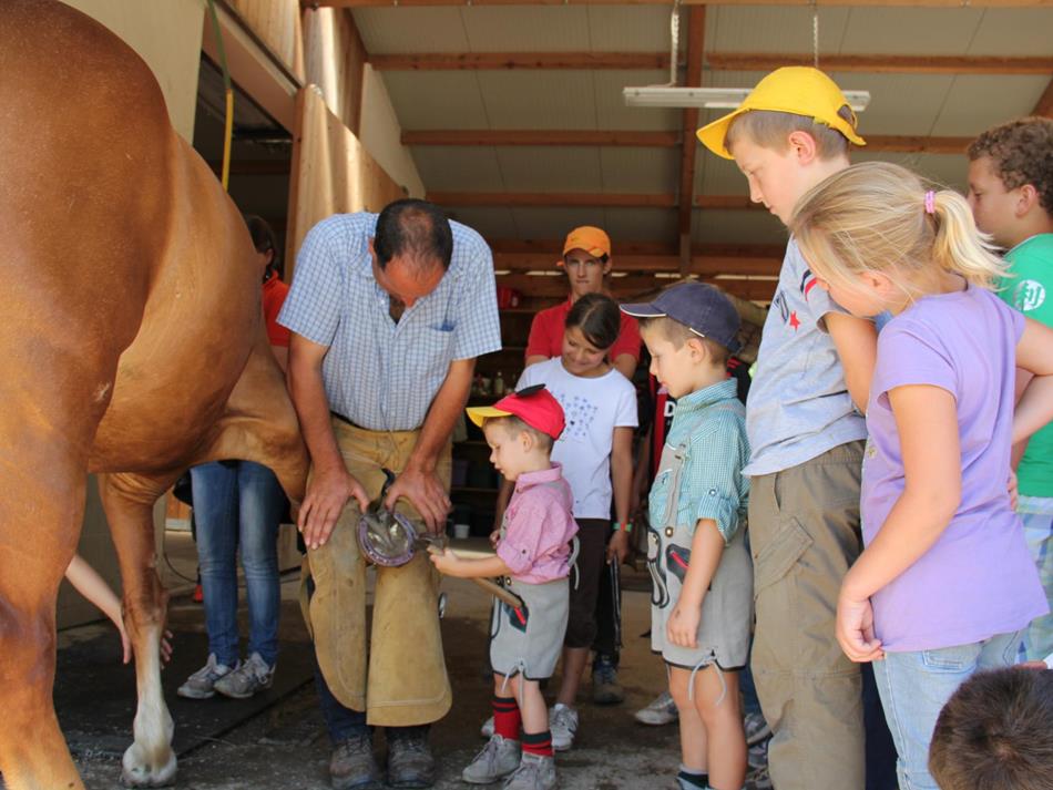 Themed trails around the Seiser Alm for kids