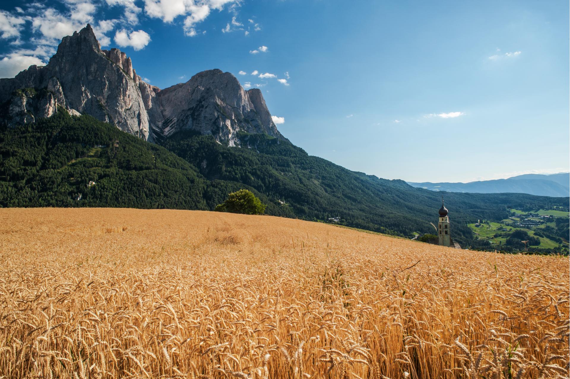 Urlaub in Seis am Schlern - Ferienregion Seiser Alm