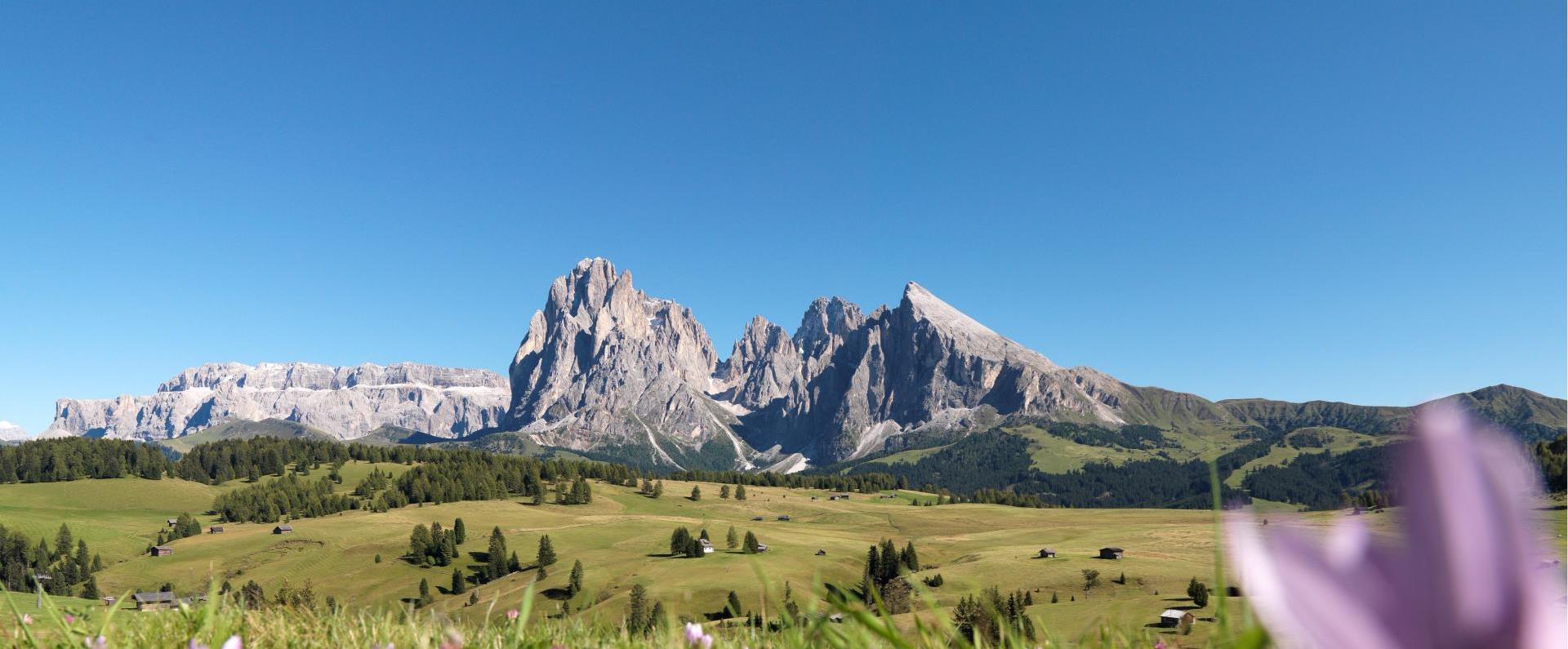 Urlaub auf der Seiser Alm: Urlaub in den Dolomiten