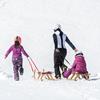 Rodeln in Südtirol auf der Seiser Alm ☑️ Dolomiten Familientipp